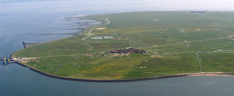 Luftbild von Hallig Hooge